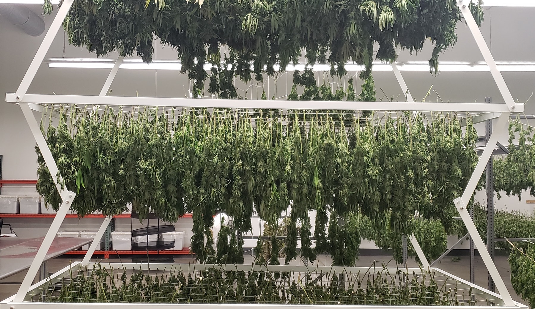 Cannabis Light Movers, Drying Racks & More - Smart Storage Systems